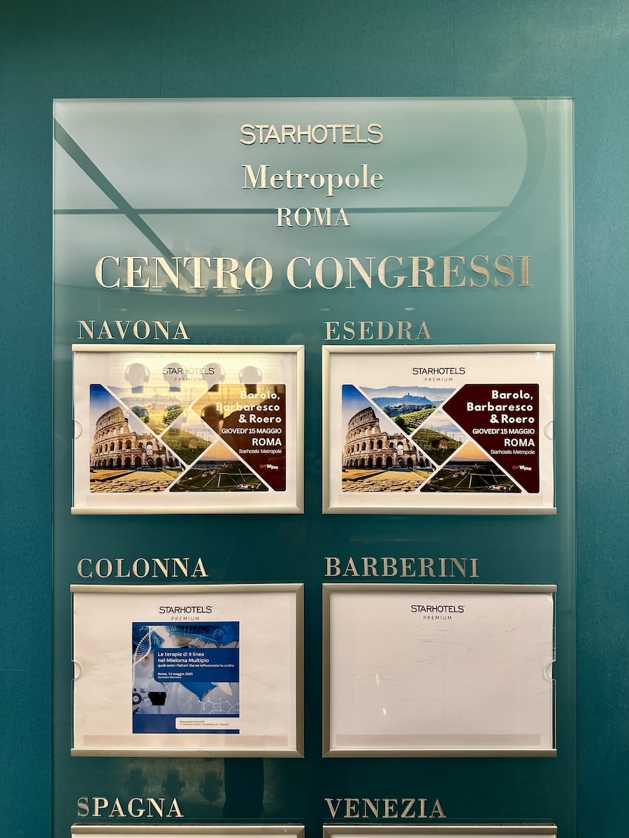 BAROLO, BARBARESCO & ROERO 2025 (by GoWine) - enoevo